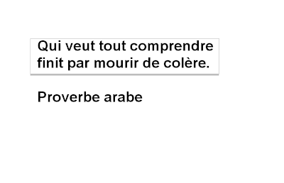 8 proverbes arabes sur la vie