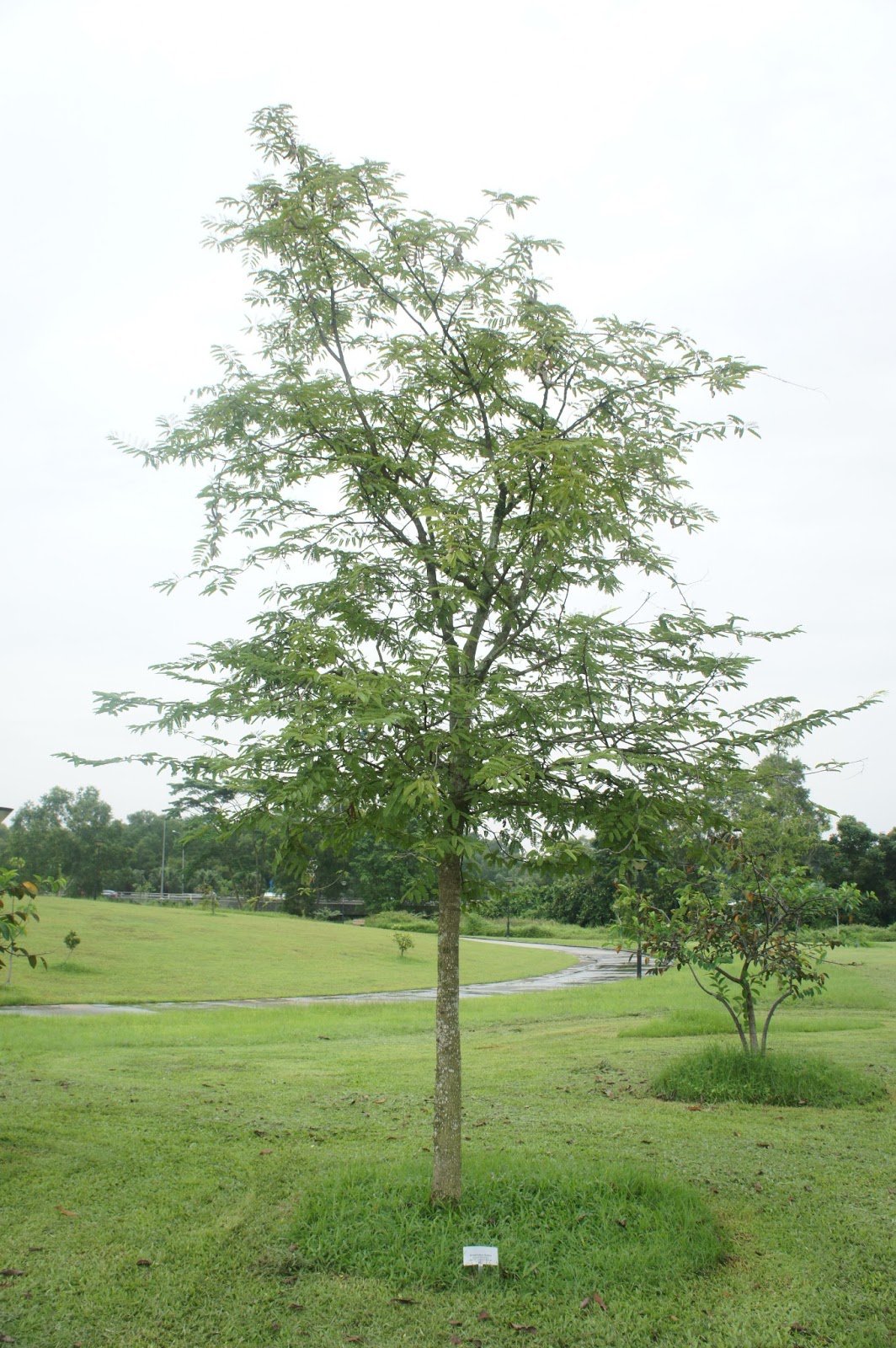 Riverine Parks: January 2013