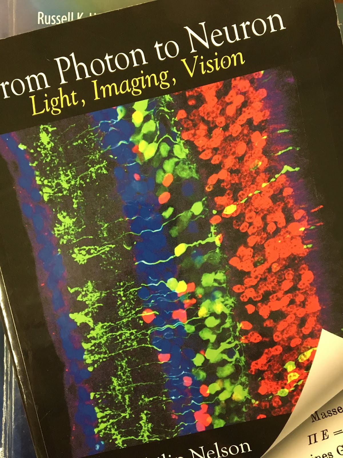 Intermediate Physics for Medicine and Biology: The Dimensionality of ...