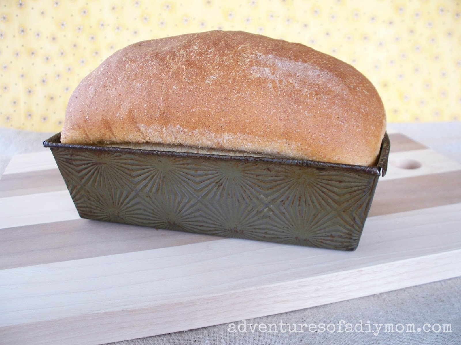 The Best Homemade Wheat Bread Recipe - Adventures of a DIY Mom