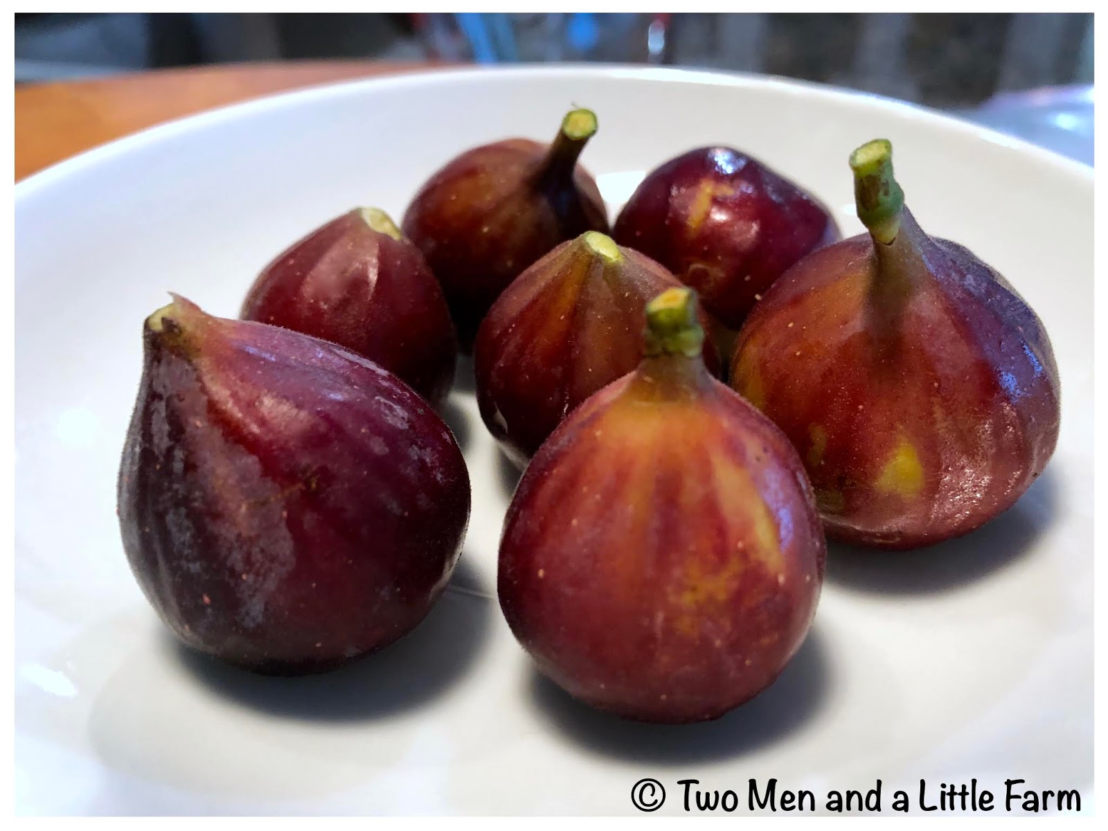 Two Men and a Little Farm: LET THERE BE FIGS