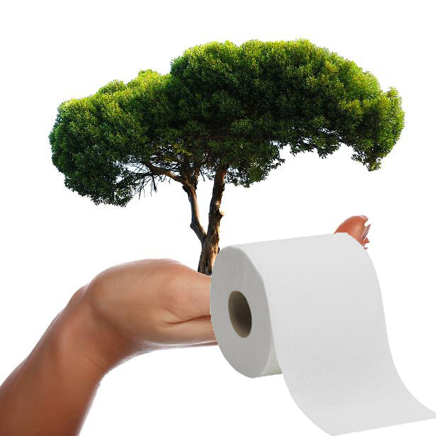 Sejarah Asal Mula Tissue dan Lingkungan - Aku Ingin Tahu