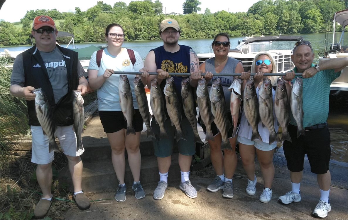 Lake Anna Striper Guide Journal: Lake Anna Fishing is getting Hot!