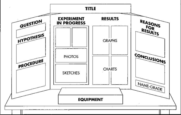 Eagle Valley Science Fair: Display Board