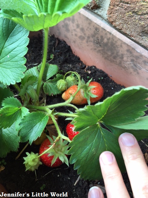 Jennifer's Little World blog - Parenting, craft and travel: Things are ...