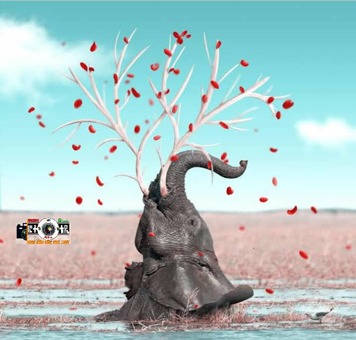 baltina wetetoch የባልትና ውጤቶች