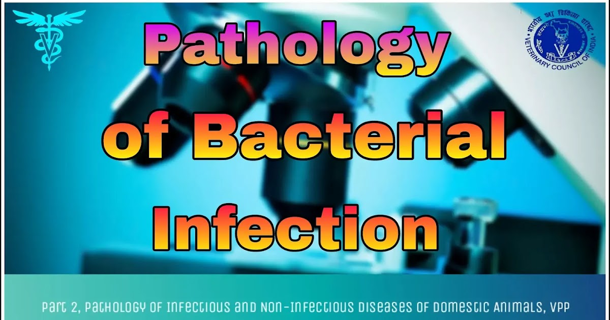 Pathology of Bacterial Infection.