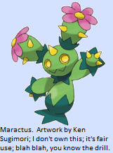 Pokémaniacal: Maractus