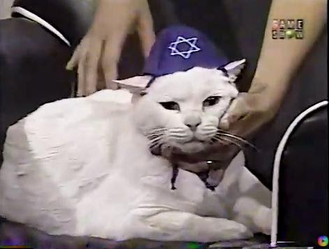 Jewish Humor Central: Wacky Wednesday Comedy Classic: The Cat Yarmulke ...