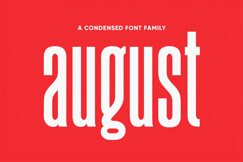 August Typeface Font | GRAFİK MARKET (Beta)