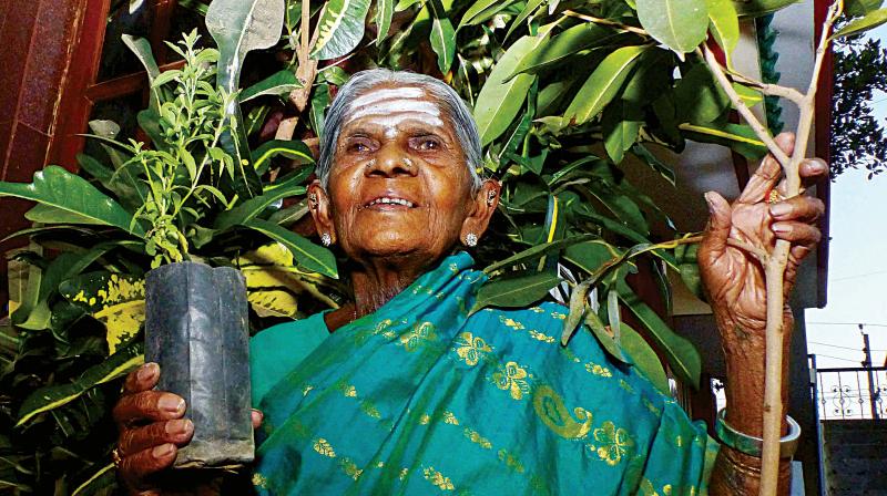 Saalumarada Thimmakka - The Mother to More Than 8000 Trees - तरुमहिमन्
