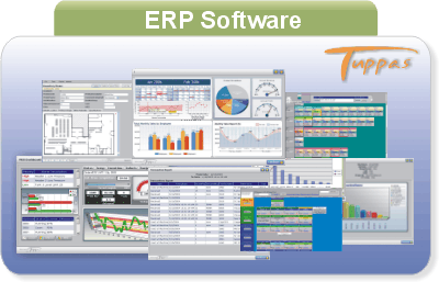 Software as a service:ERP by the Hour and ERP Sytems: Do they Satisfy?