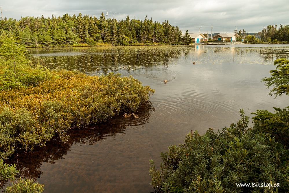Bitstop: Power's Pond, Mount Pearl