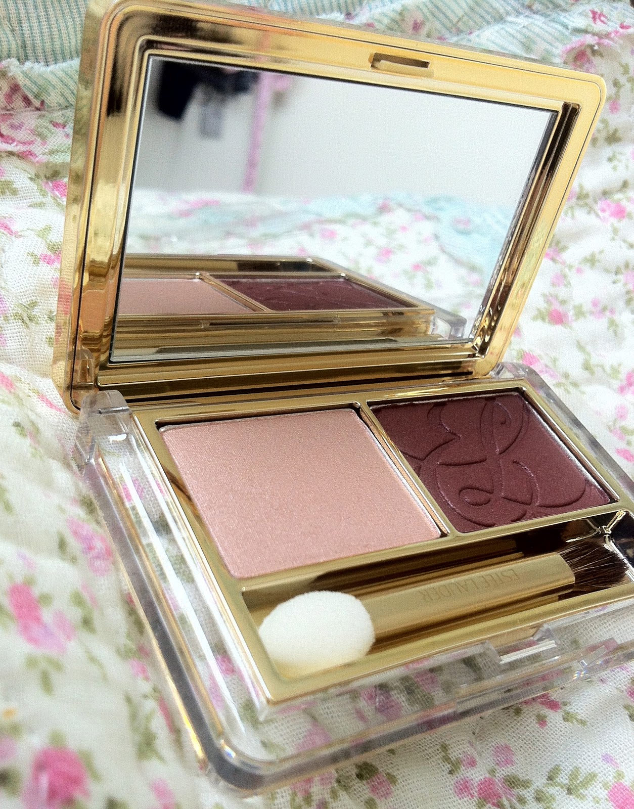 Pastel Pixie: REVIEW: Estee Lauder Eyeshadow Duo - Raisins