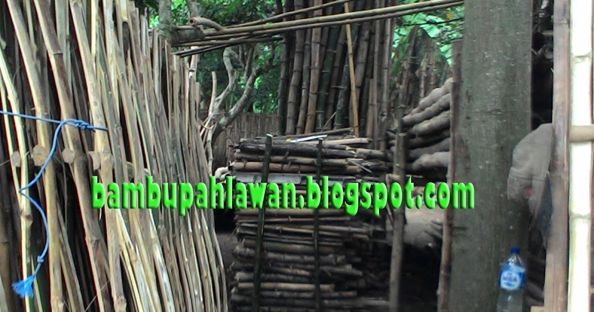 BAMBU PAHLAWAN: SESEK