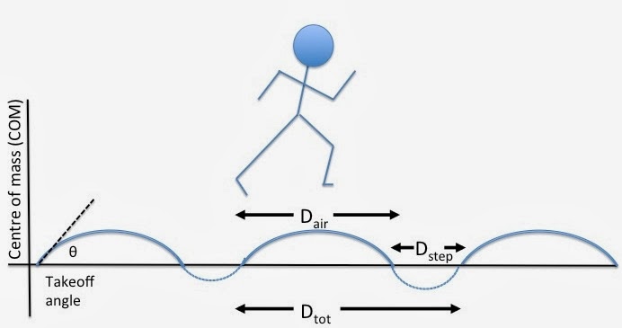 running commentary?: Running strides Part 1: ground and aerial contact ...