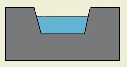 In Detail About Horticulture & Horticulture Crops Cultivation ...