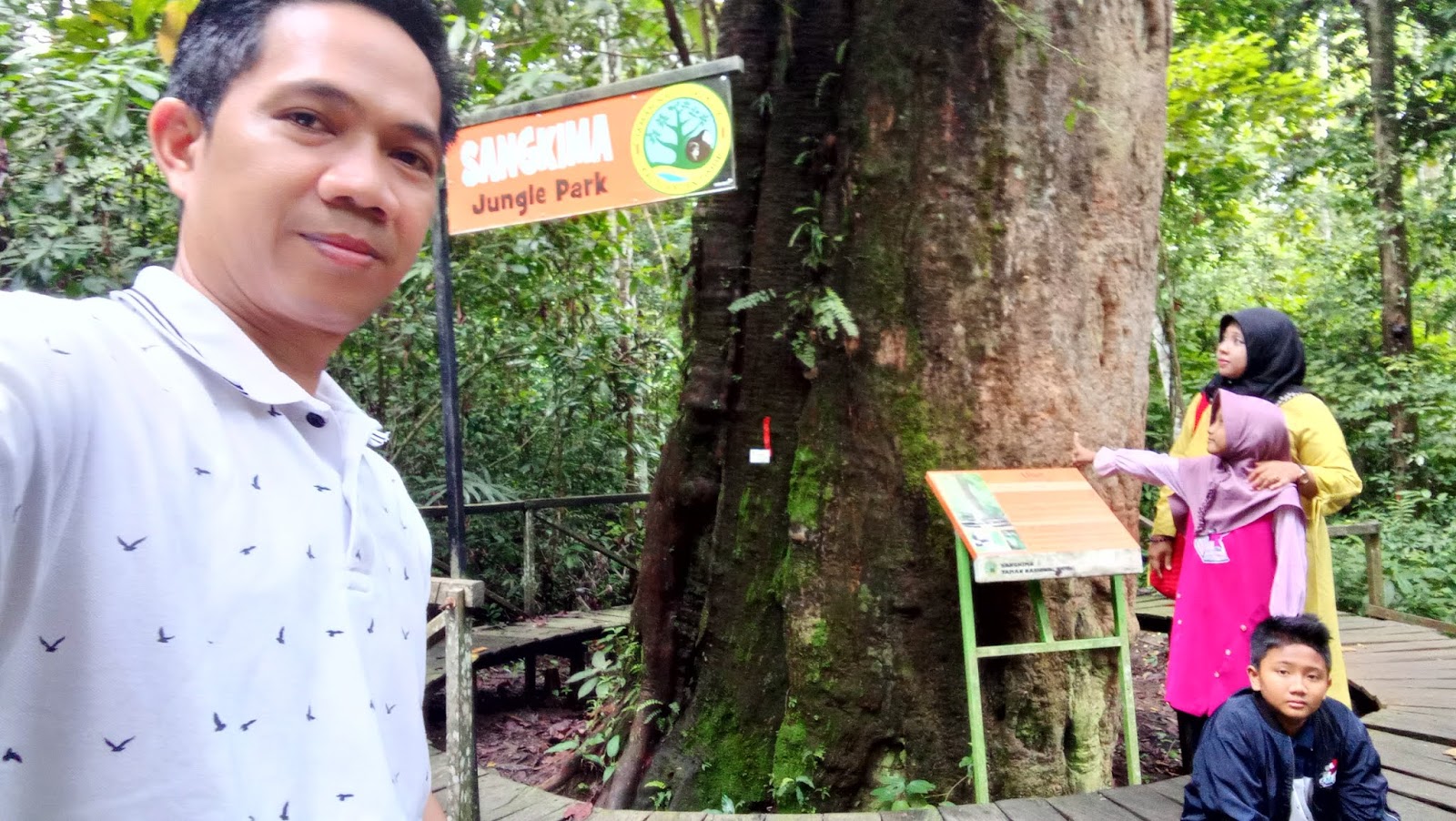 POHON ULIN BERUSIA 1000 TAHUN DARI TNK SANGKIMAH TO HINDUSTAN (IRONWOOD ...