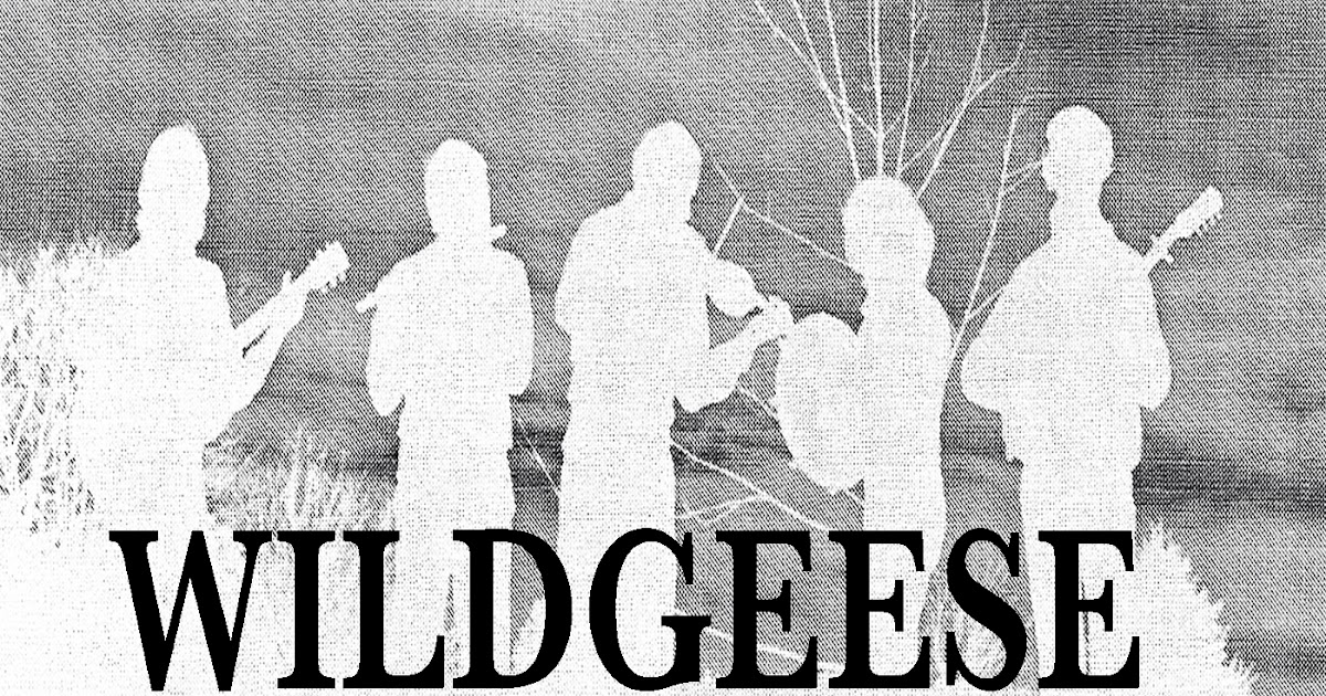 Celtic Vital Signs [Reels, Rhymes & Rebellion]: Wildgeese - Celtic ...