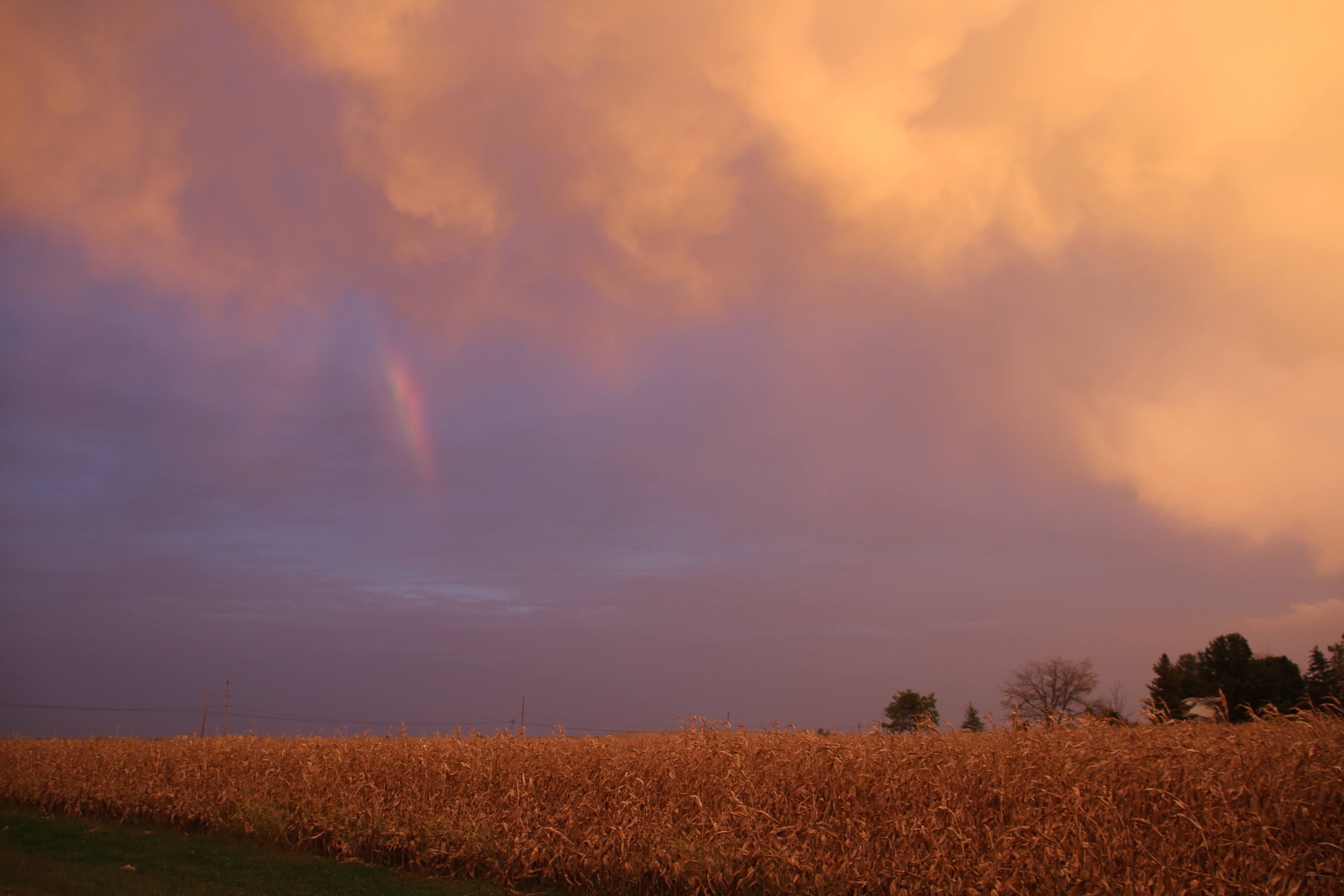 To Behold the Beauty: October Sunset