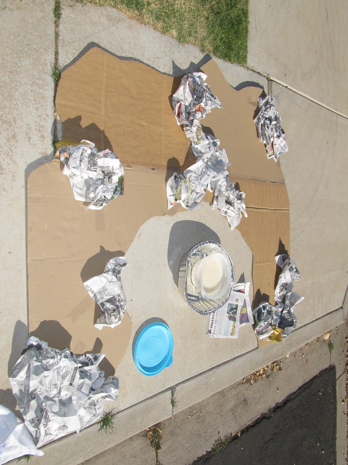 Savvy Ness Online: Cardboard Cave