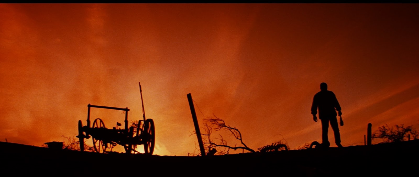 RAZORBACK 1984 - The Classic Horror Film Board