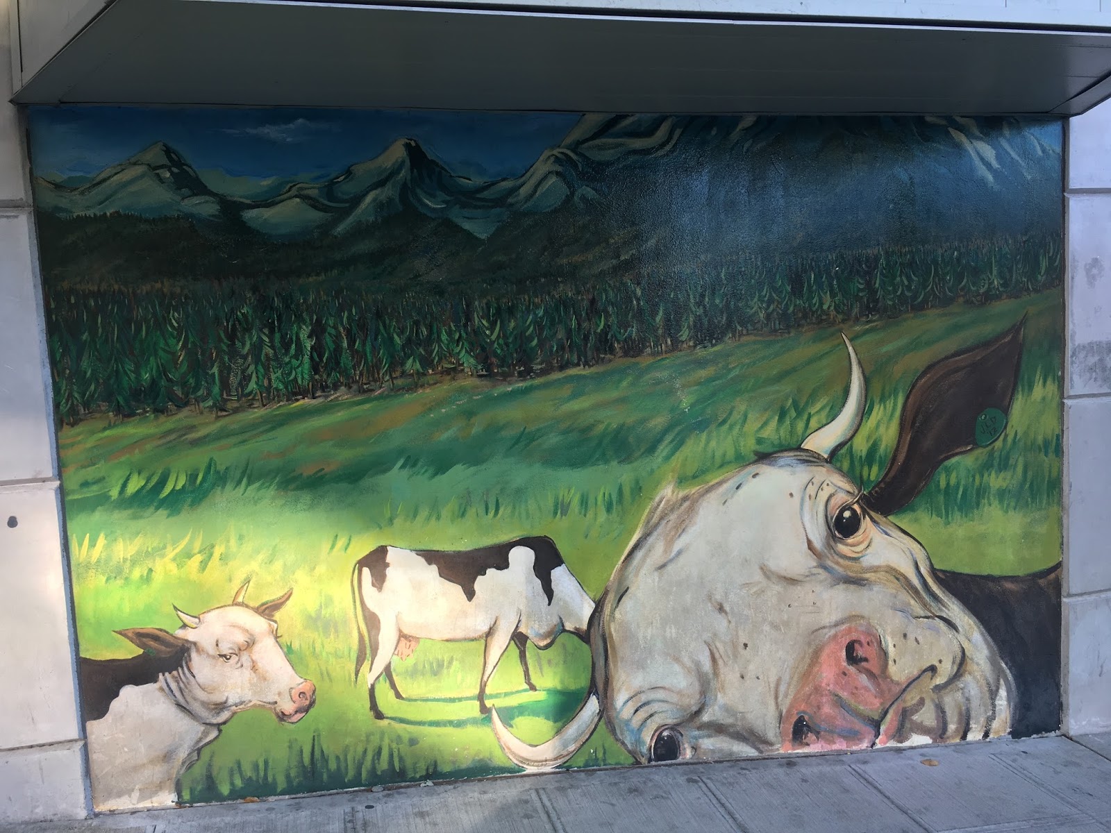 Miller Park Neighborhood Association: Fratelli's Cow Mural: enjoy it ...