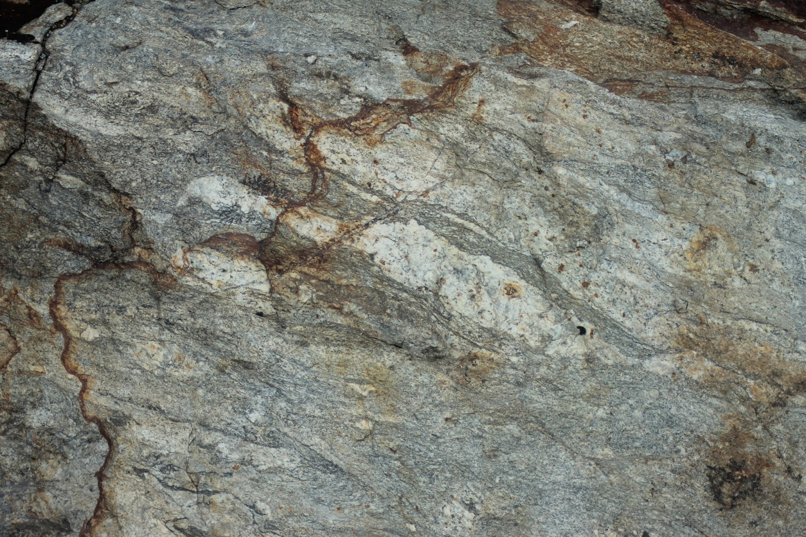 Cáceres al natural: MIGMATITAS EN LA DESESPERADA (PIORNAL)