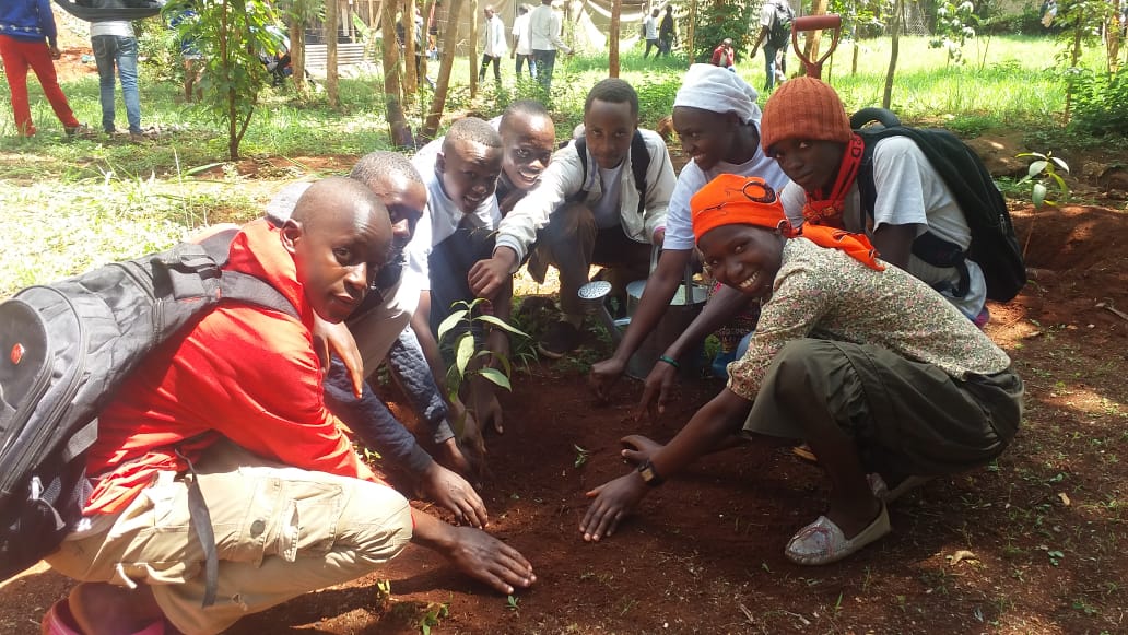 Thika Town Today - 3T: Kiambu to give free tree seedlings to residents ...