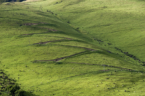 Just a Thought: The One About Sheep Paths...and Good Shepherds (Another ...