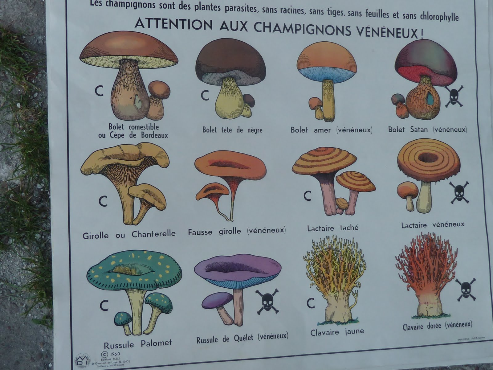 Ecole FMR 1000 Affiches scolaires: affiche mdi scolaire les champignons ...