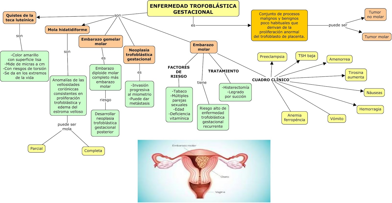Ginecología y Obstetricia 2016 por Carmen Elena Chavez G. : Enfermedad ...