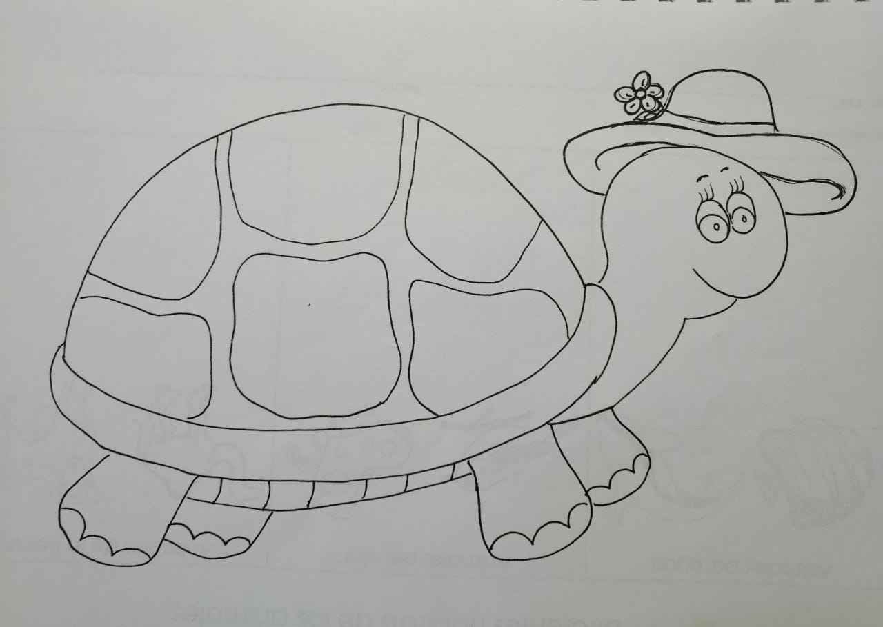 TRANSICIÓN PROGRESAR: PII SEMANA 13