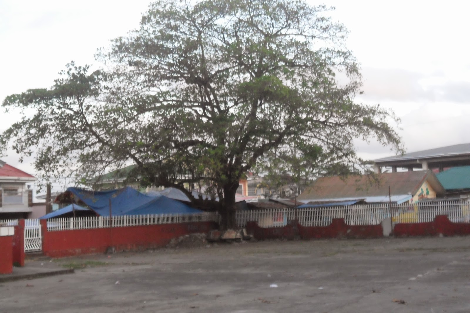 Dince's Chronicles: THE SANTO NIÑO DE TERNATE CHURCHES