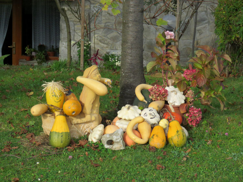 Tavanja po slovenskih hribih: Martinova pot