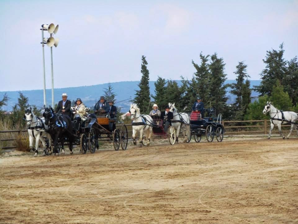 MarkopouloCity: Με επιτυχία οι Πανελλήνιοι της Αμαξοδήγησης