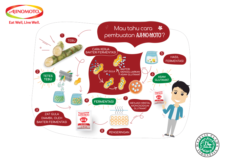 Ratnasari Pevensie's : Mitos dan Fakta Seputar MSG Sumber Rasa UMAMI