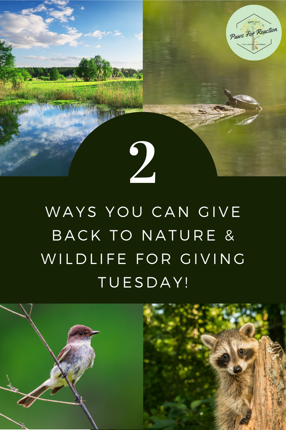 Giving Tuesday: Two things you can do to support Ontario nature and ...