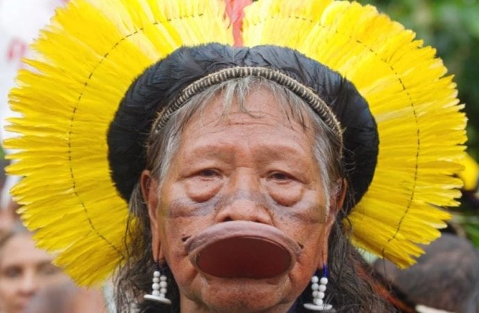 Old Plate Lip The First shines at The Synod