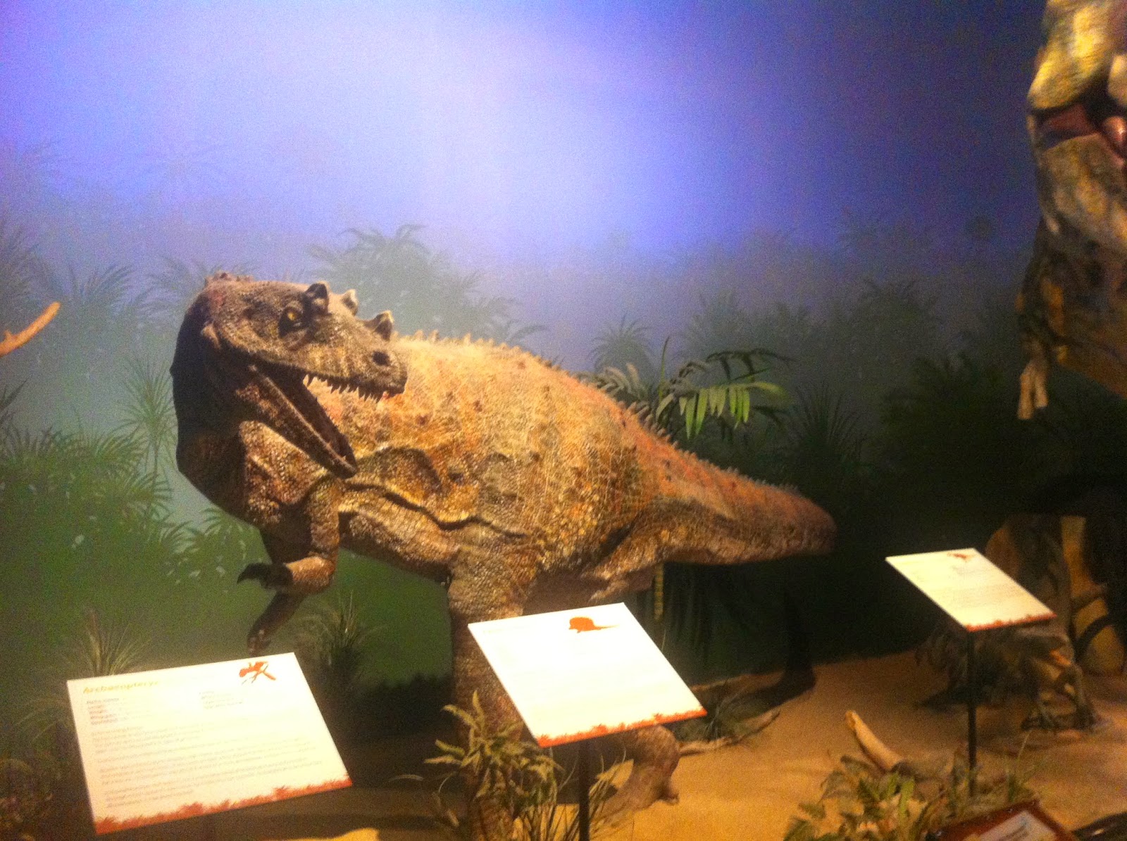 The Praying Jackalope: A visit to the Creation Museum