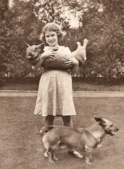 "breeding is evil" "why do breeds even exist?" "they should all be ...