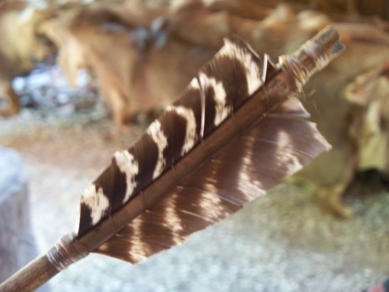 Koogle's Korner: Jamestown Settlement - Powhatan Indian Village