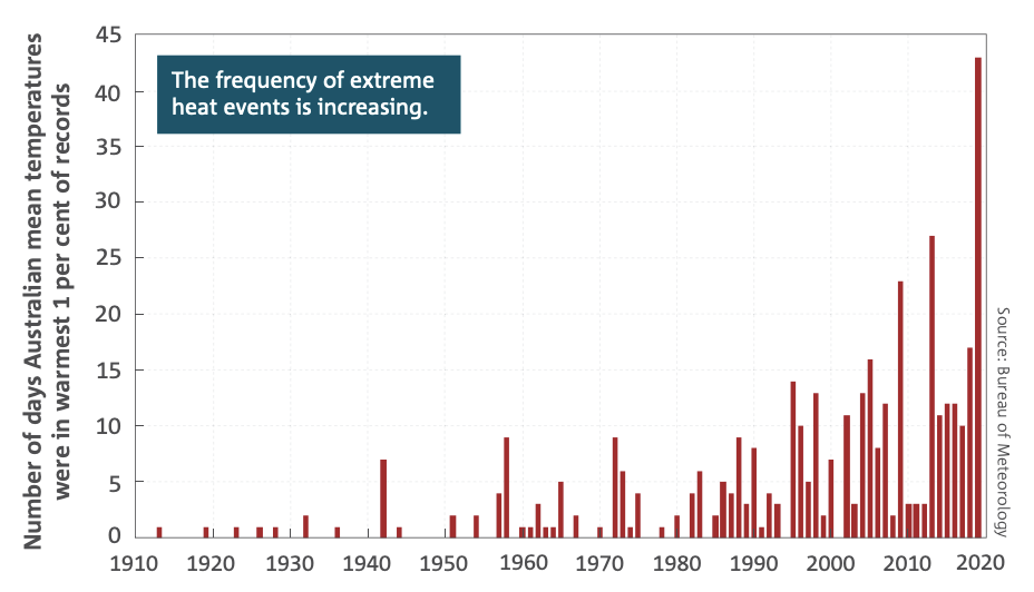 The 2019-2020 Australian Bushfire Season: Causes and Effects