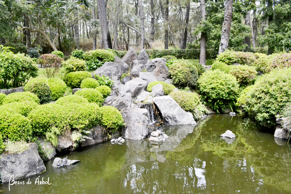 Besos de Árbol: Caminando por el parque Colomos
