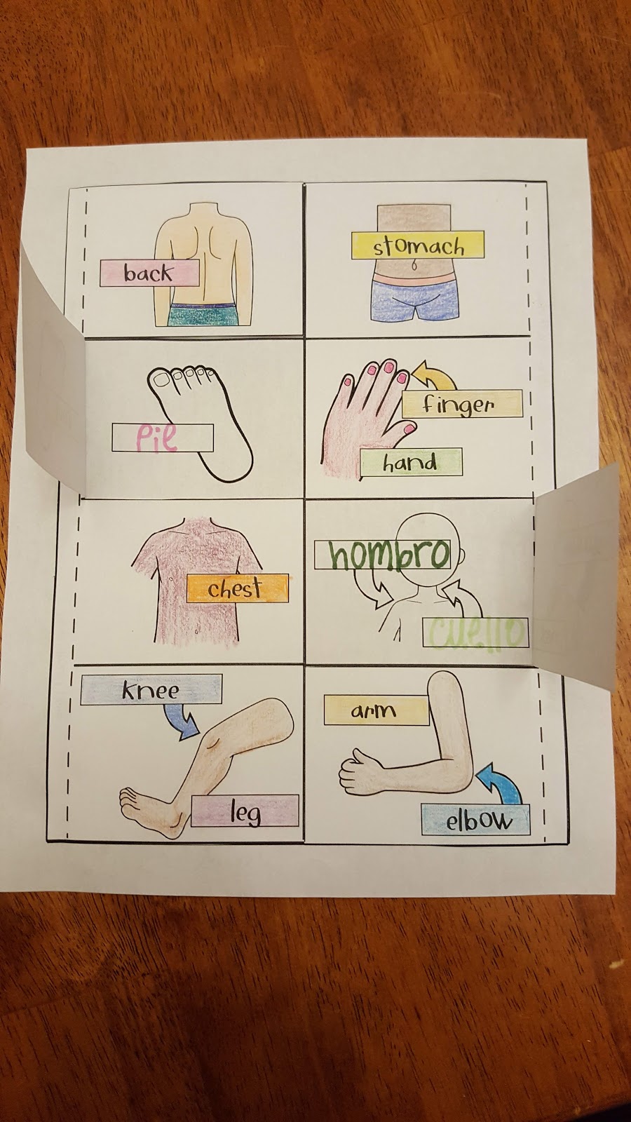 The Puzzle Den: Spanish Body Parts Puzzles and Activities