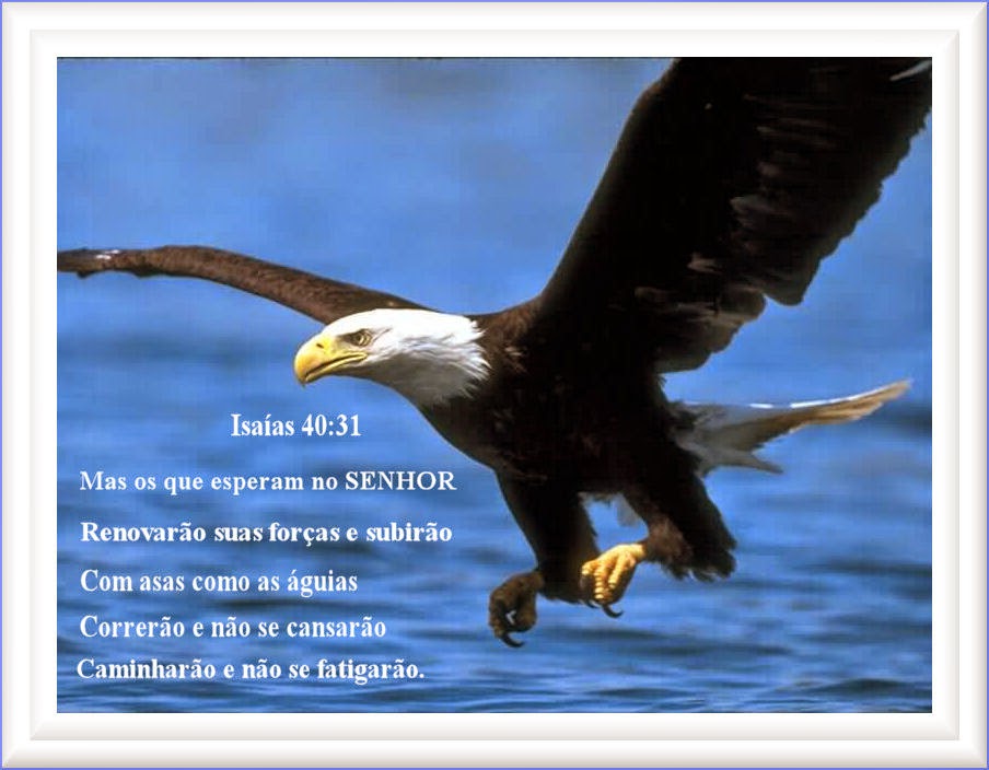 Jesus É O Senhor Vida Para Todos As Duas Asas Da Grande Águia E O