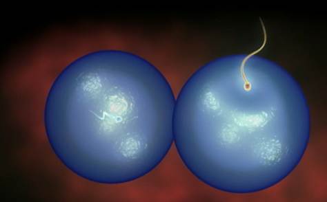 AMAZING STORIES AROUND THE WORLD: Mother Gives Birth To Twins With ...