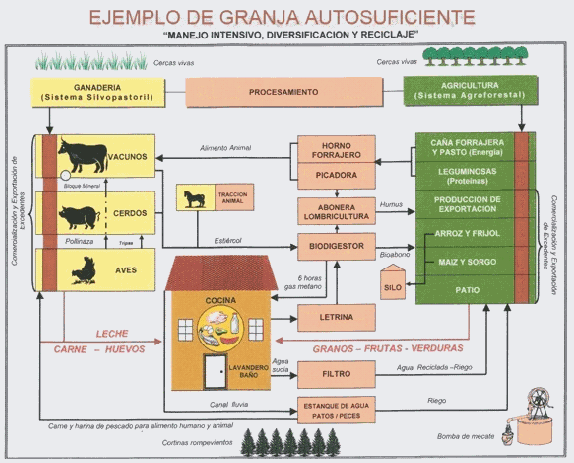 Senda Rural: Establecimiento de una Granja Integral Autosuficiente I