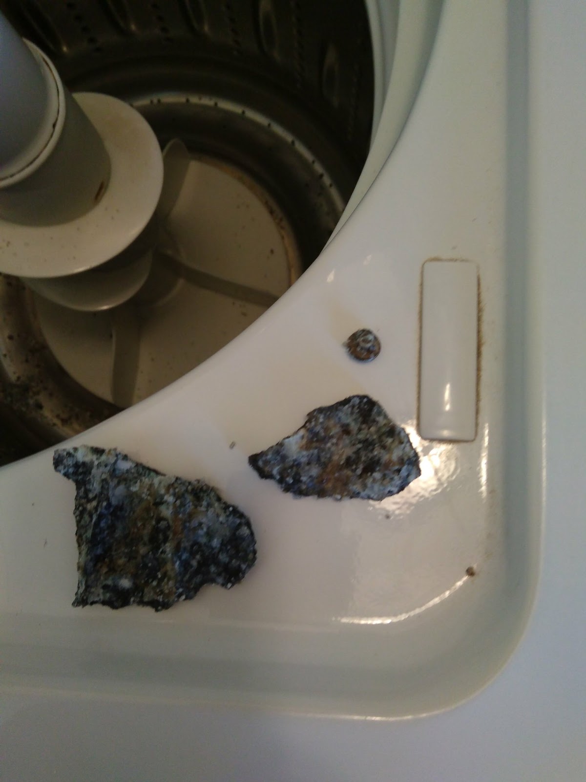 The Maynard State: Death of a Washing Machine