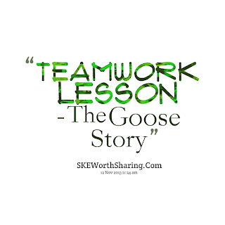 SKEWorthSharing: Teamwork Lesson - The Goose Story